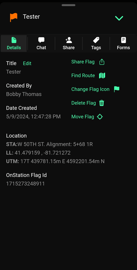 How to view when & by whom a flag was modified